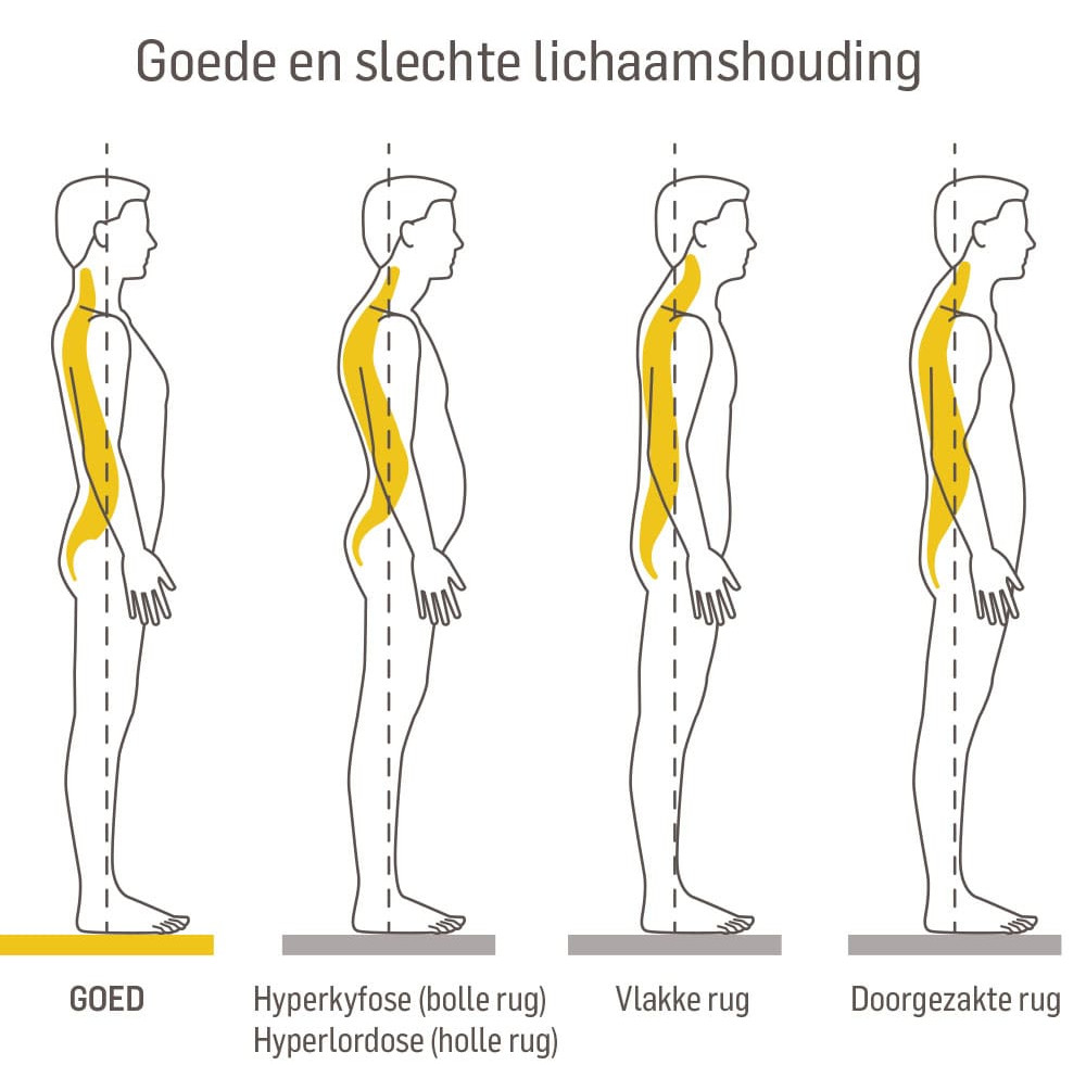 Rugpijn door zittend werk: oorzaken en tips | Dorsoo